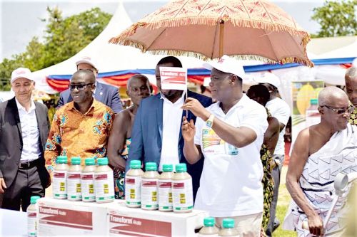 COCOBOD launches insecticide to fight pests - Graphic Online