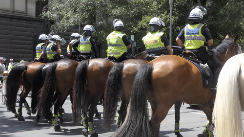 Police begins horse patrol operations - Graphic Online