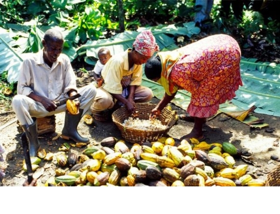 Fludor, VisionSpring donate free eyeglasses to cocoa farmers - Graphic ...