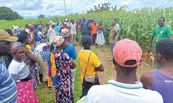 SNV organises green field day for sorghum farmers in Builsa North ...