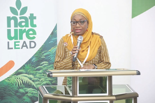 MDAs need to share knowledge to tackle climate change — UN Director ...