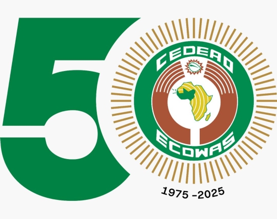 ECOWAS Report: Insecurity hampering socio-economic development in West ...