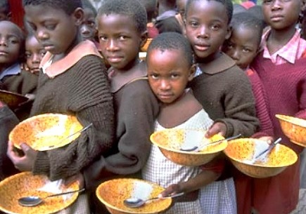 UN Report lists Nigeria, Mali among 16 African nations identified as ...