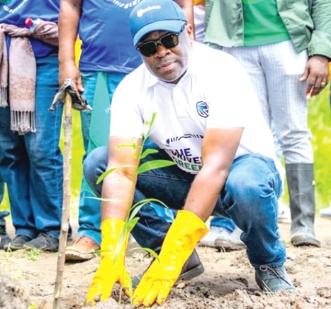 Stanbic Bank intensifies climate action with 50,000 tree-planting ...
