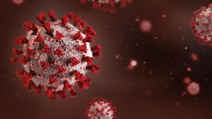 Africa summit in India postponed over Ebola outbreak fears - Graphic Online