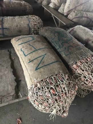 Onion traders struggle with losses, as Niger crisis leads to spoilage ...