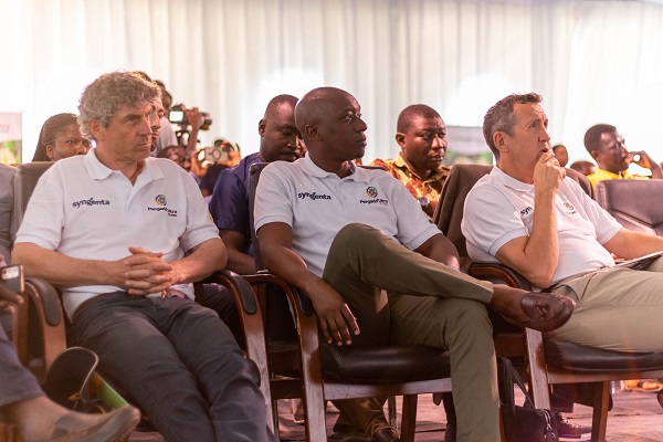 Syngenta unveils Pergado Ultra: Tailored solution for West African ...