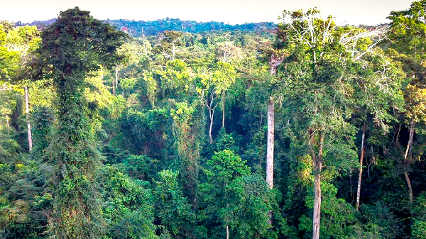 Environment and development: Key issues for Ghana - Graphic Online