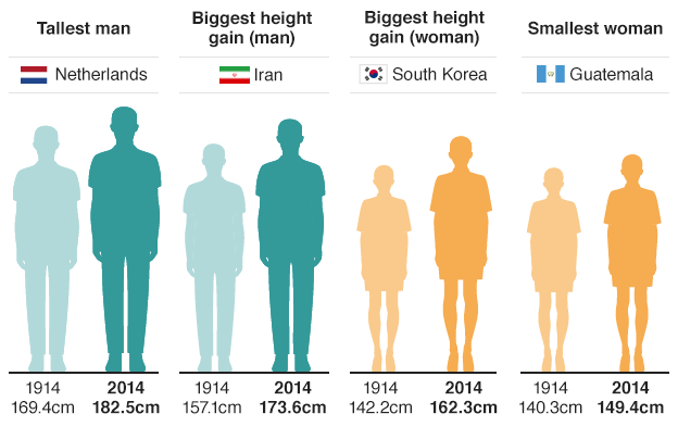 Dutch men revealed as world's tallest - Graphic Online