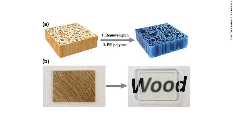Scientists create 'invisible' wood - Graphic Online
